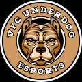 Иконка канала VFC UNDERDOG