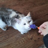 Иконка канала Лайт версия