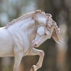 Иконка канала Wild Horse Islands на русском