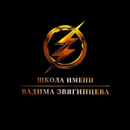 Иконка канала Школа имени Вадима Звягинцева