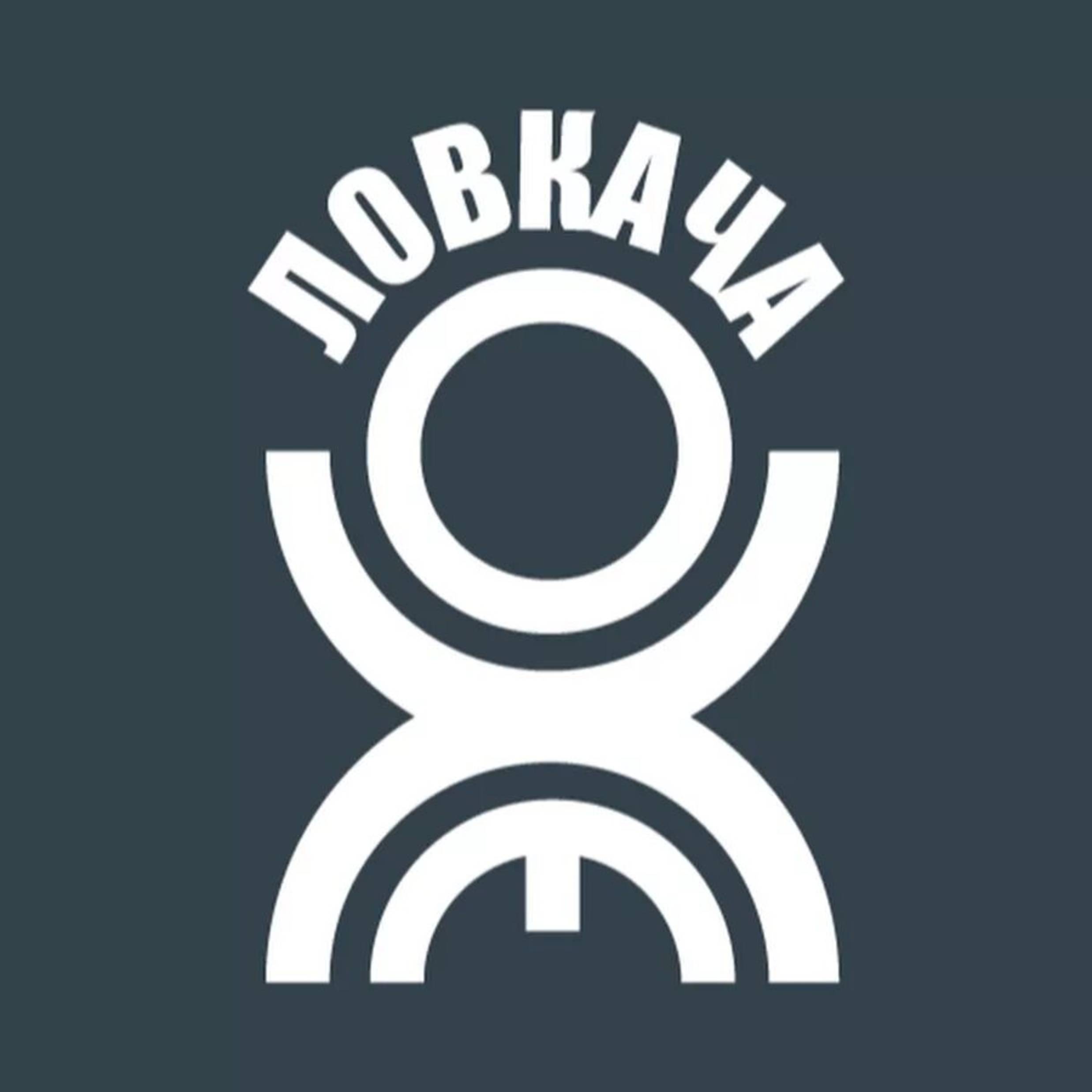 Иконка канала @dodgerecho
