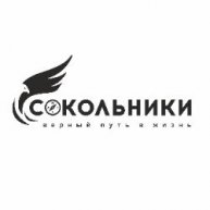 Иконка канала ЦСА «Сокольники» Хабаровск