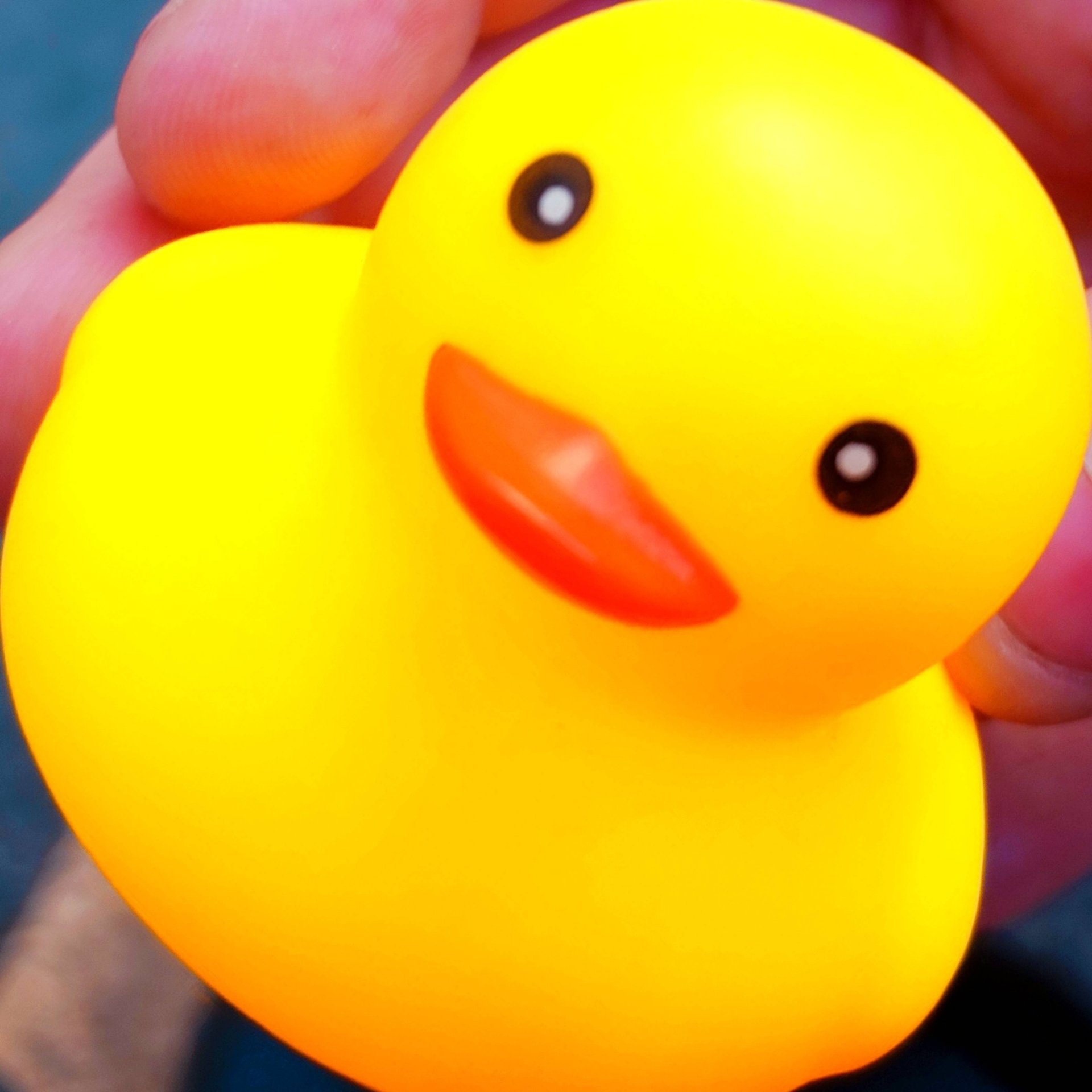 Иконка канала ZДимутка