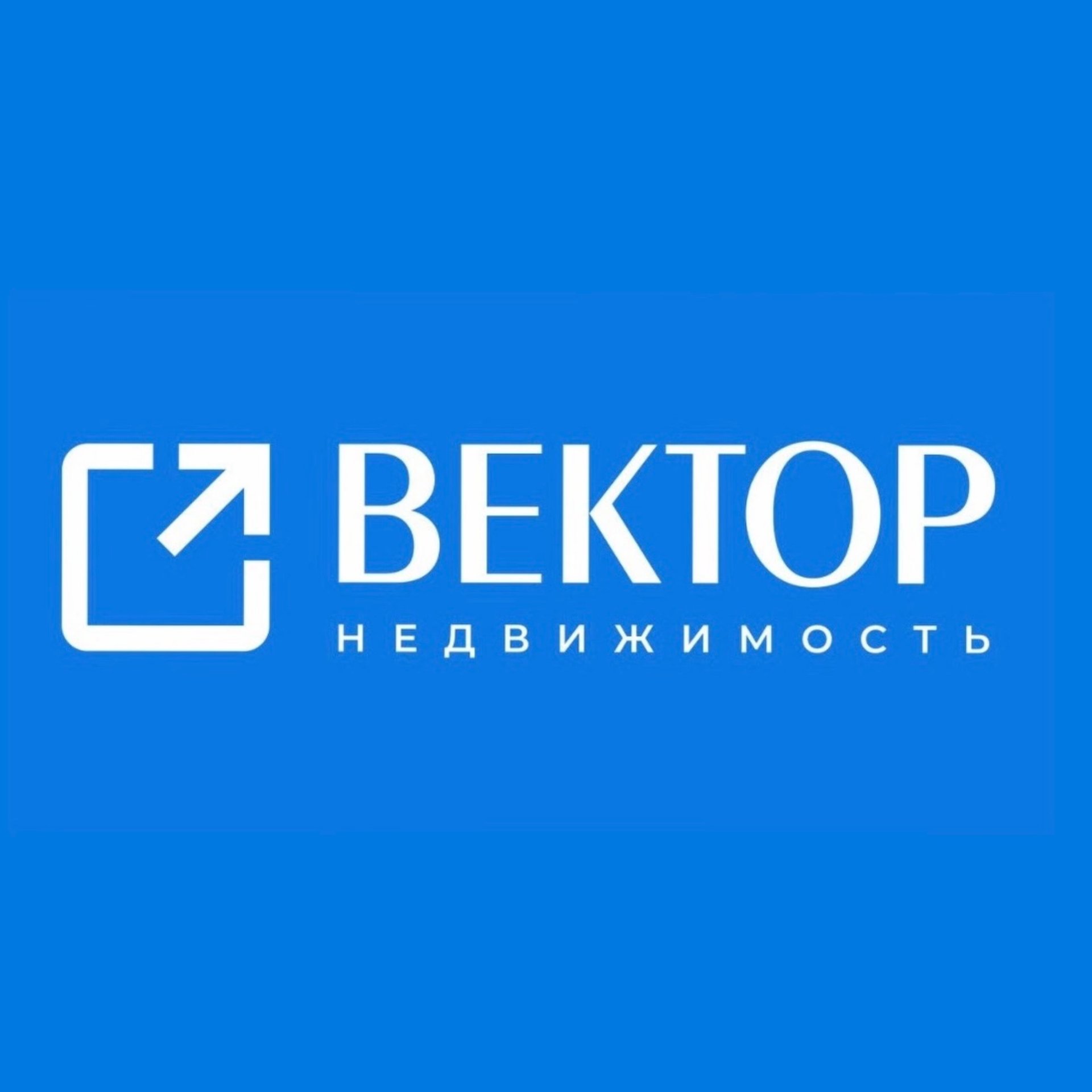 Иконка канала VEKTOR.LIFE