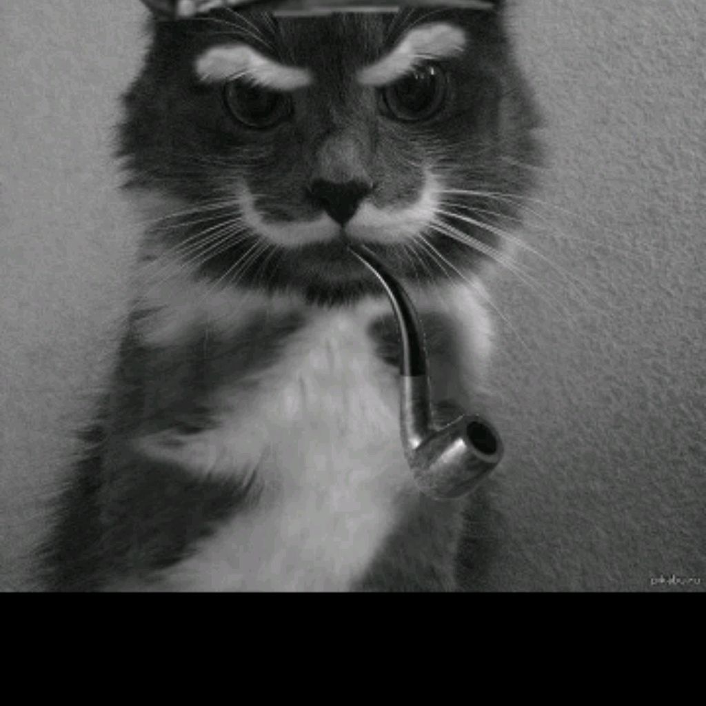 Иконка канала Данос Спик