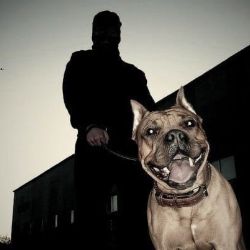 Иконка канала Hann