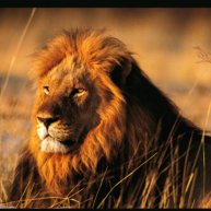 Иконка канала Cerzawr