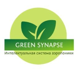 Иконка канала GREEN SYNAPSE