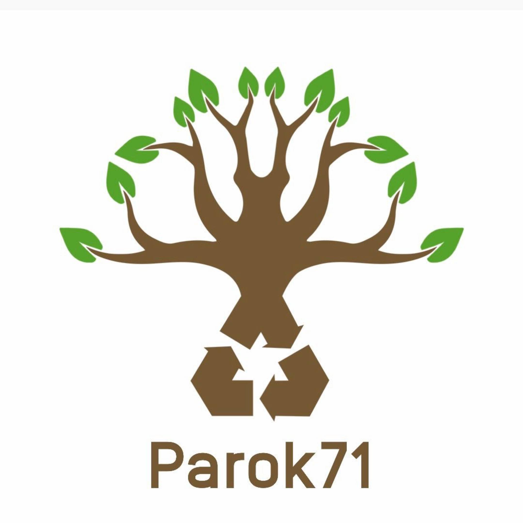 Иконка канала Parok71.ru