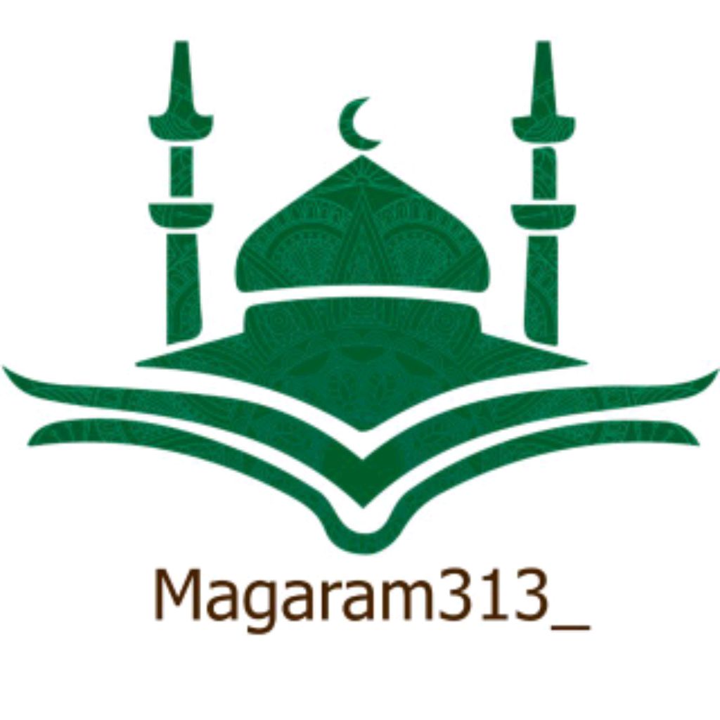 Иконка канала magaram313_