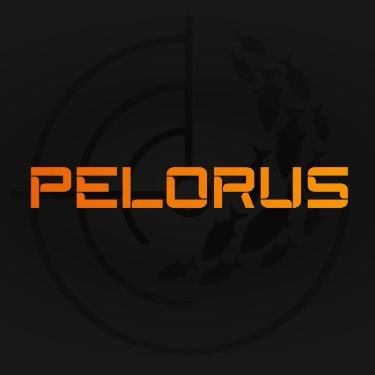 Иконка канала Pelorus - ротаторы для рыбалки