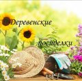 Иконка канала Деревенские посиделки