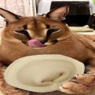 Иконка канала жека 007