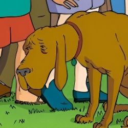 Иконка канала Сериал  Царь горы / King of the Hill