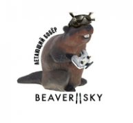Иконка канала BEAVER SKY летающий бобёр