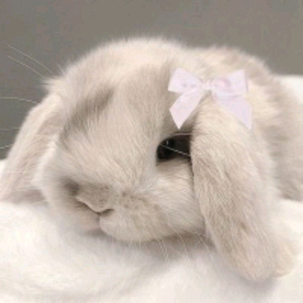 Иконка канала Катюша🎀