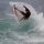 Иконка канала surfing / сёрфинг