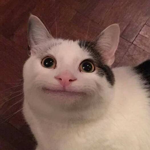 Иконка канала CATS WORLD