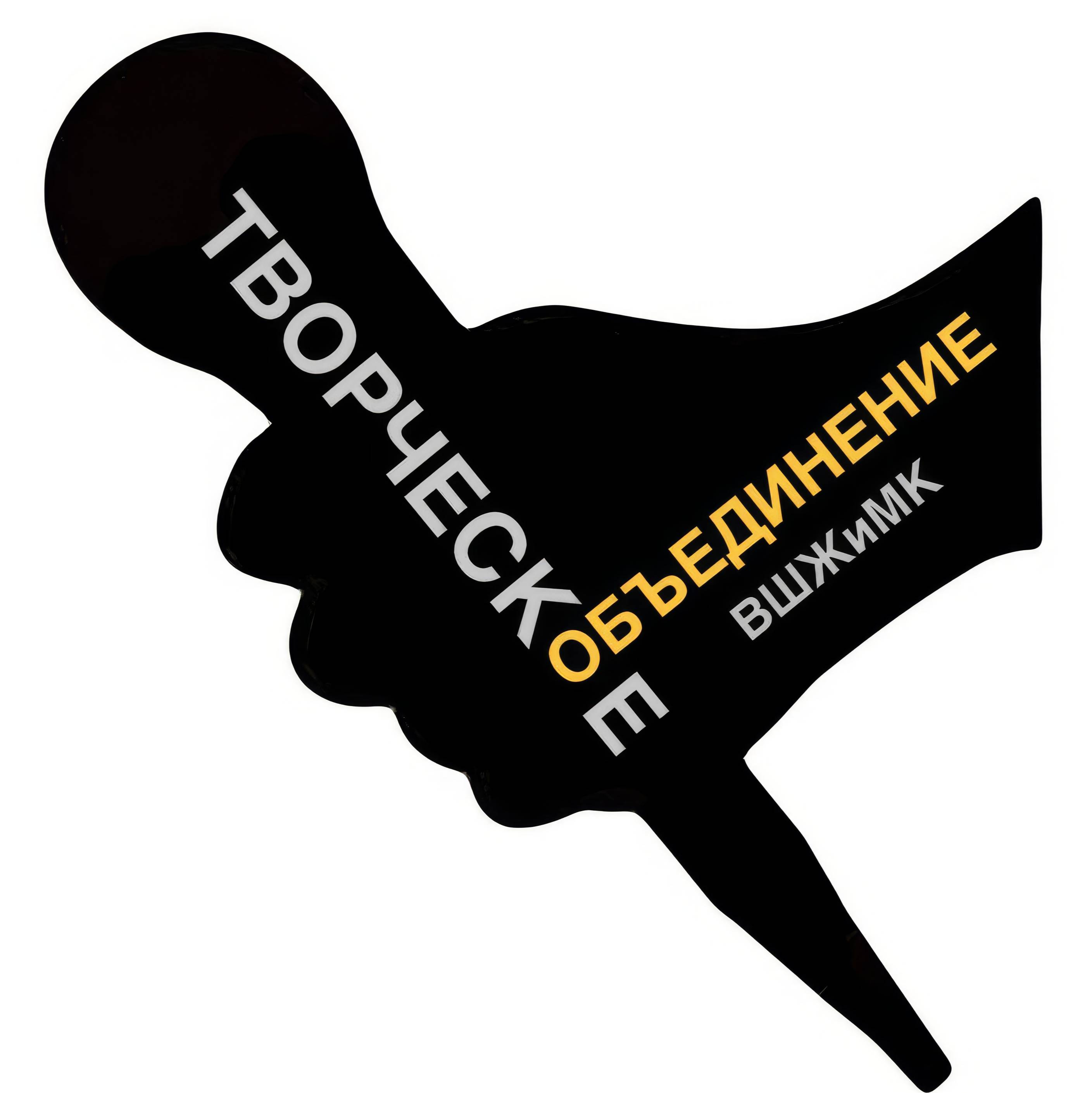 Иконка канала Творческое объединение ВШЖМ