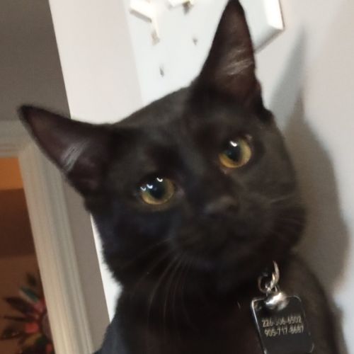 Иконка канала Дарья_Усвятская