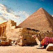 Иконка канала phasaduvi1975