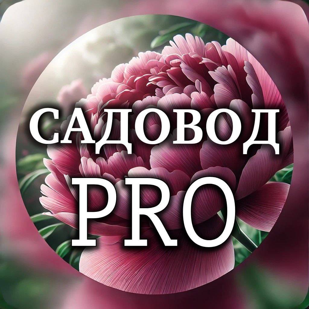 Иконка канала Садовод PRO | Сад и Огород Круглый Год