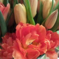 Иконка канала Ольга и мир природы