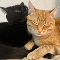 Иконка канала ДОСТУПНЫЙ АНГЛИЙСКИЙ