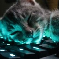 Иконка канала NEEF