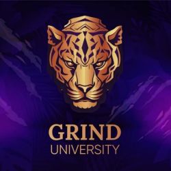 Иконка канала СЛИВ  Grind University Аресна Маркаряна