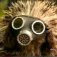 Иконка канала Step Performance RC