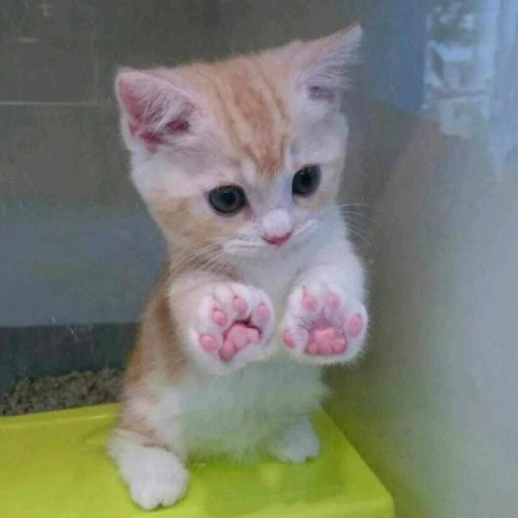 Иконка канала Милашка