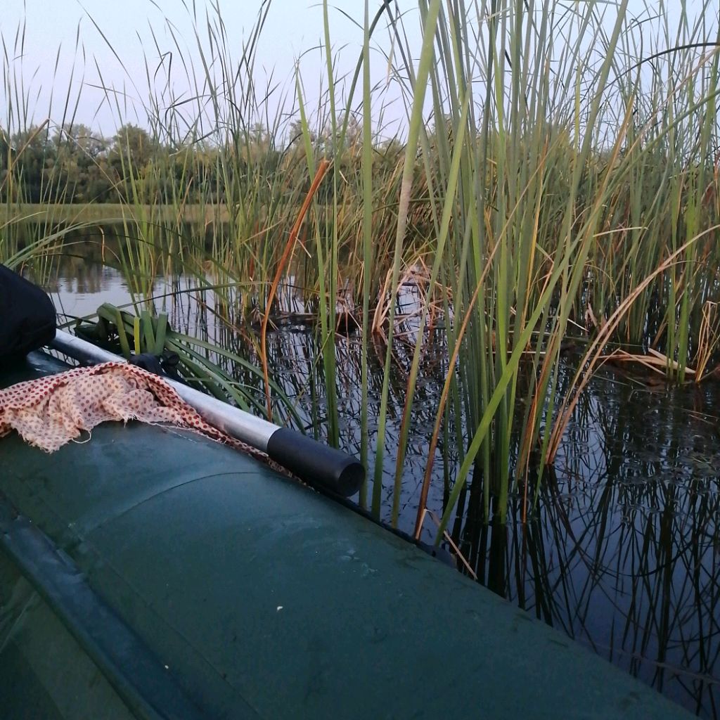 Иконка канала dyadyawadya