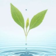 Иконка канала Воскресный завтрак