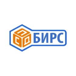 Иконка канала BIRS