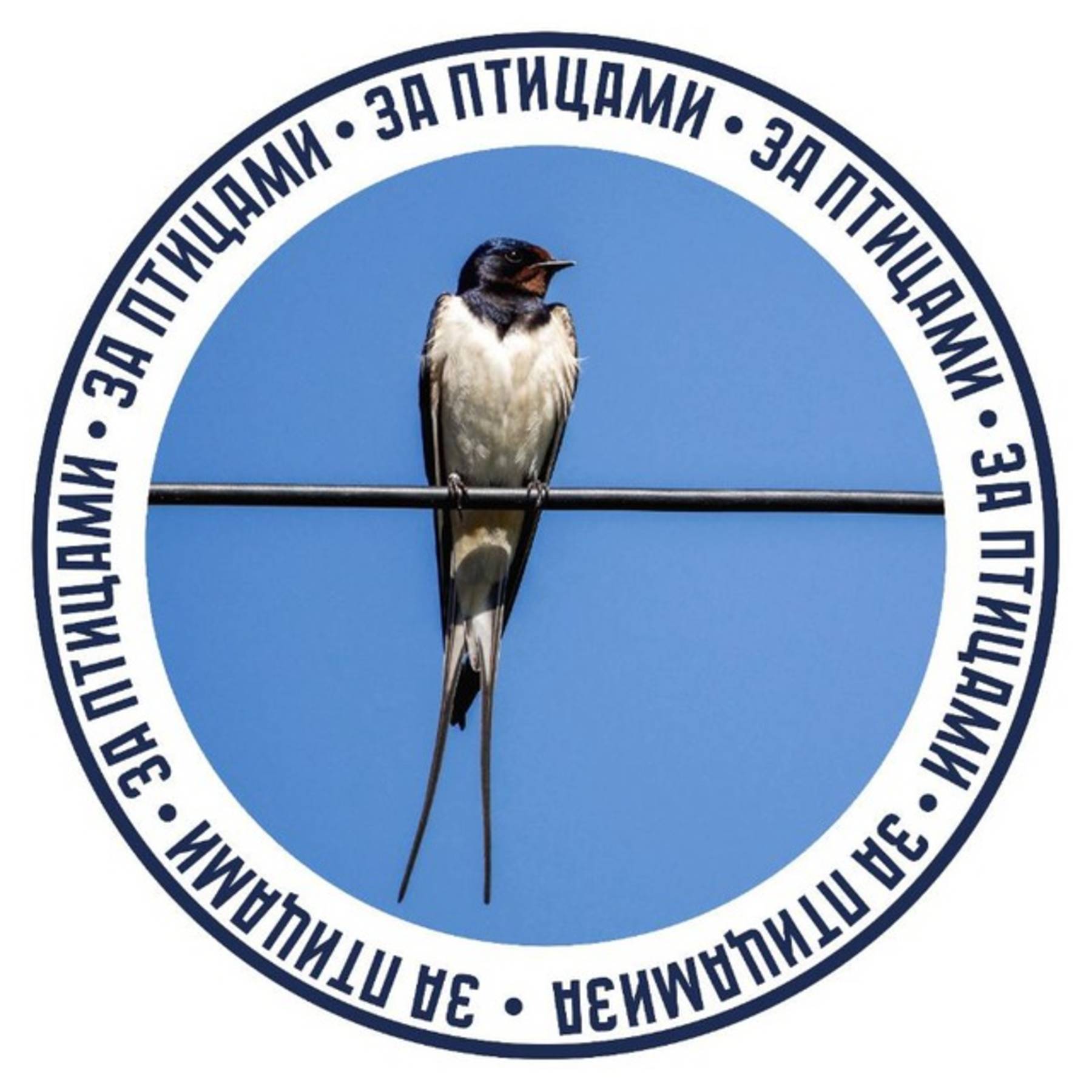 Иконка канала За птицами l Ритины похождения