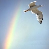 Иконка канала Наркологическая клиника Радуга