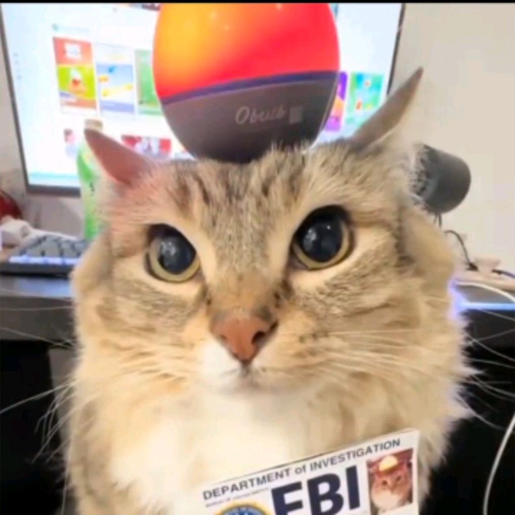 Иконка канала Мемы Которые Я Украл