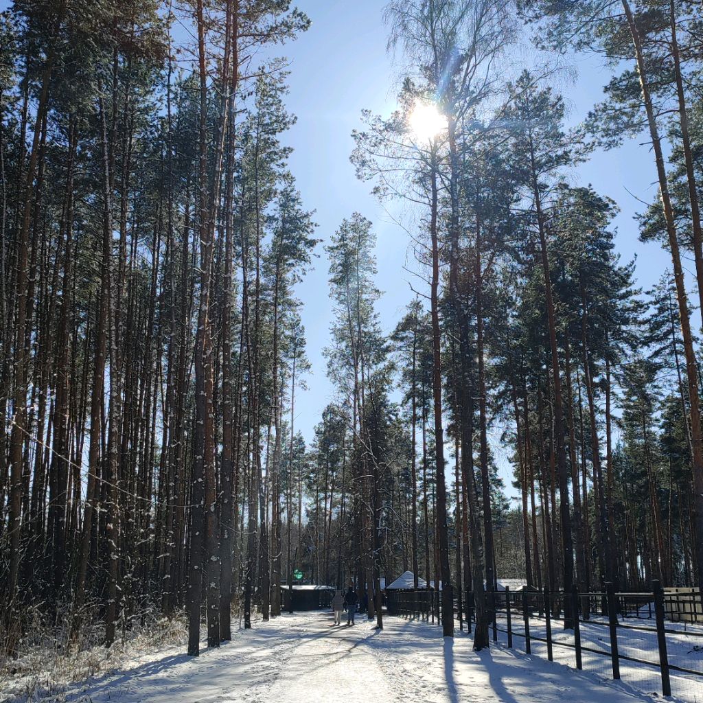Иконка канала Всё, везде и сразу