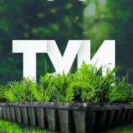Иконка канала ТУИ И МОЖЖЕВЕЛЬНИКИ ОТ ПРОИЗВОДИТЕЛЯ - БЕЛАРУСЬ