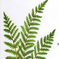 Иконка канала Vadison