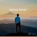 Иконка канала Grisha treval