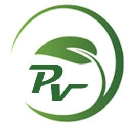 Иконка канала PROVETER