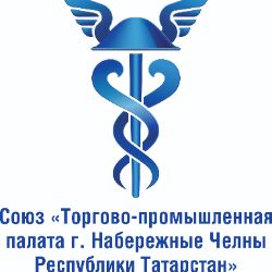 Иконка канала Торгово-промышленная палата Наб. Челны