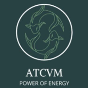 Иконка канала ATCVM -ТРАДИЦИОННАЯ КИТАЙСКАЯ МЕДИЦИНА