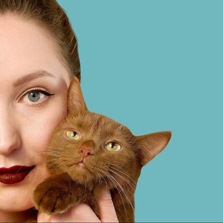 Иконка канала Cat Talk главная по кошкам