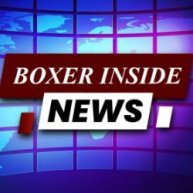 Иконка канала BoxerInside