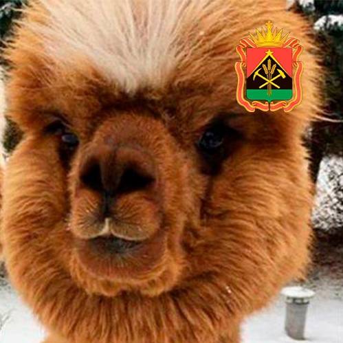 Иконка канала Иван Зельцин