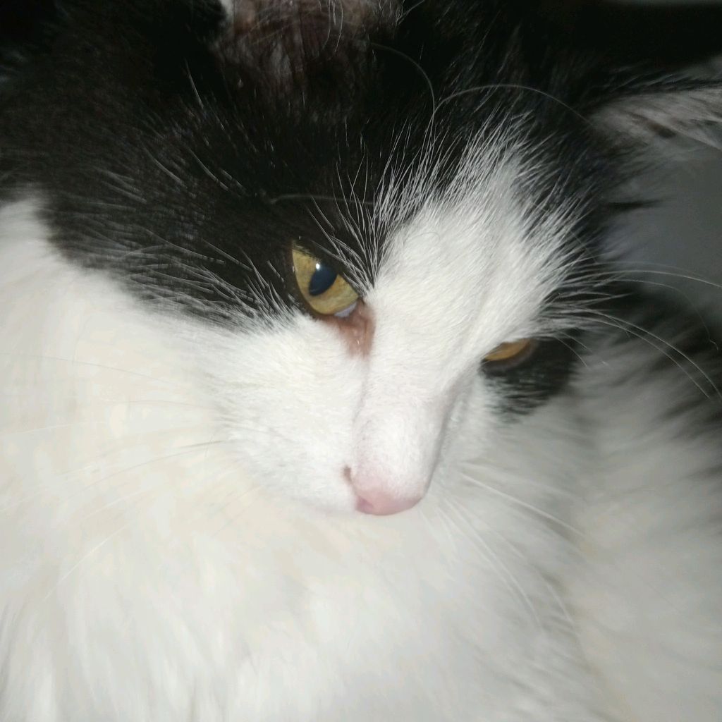 Иконка канала Кирилл