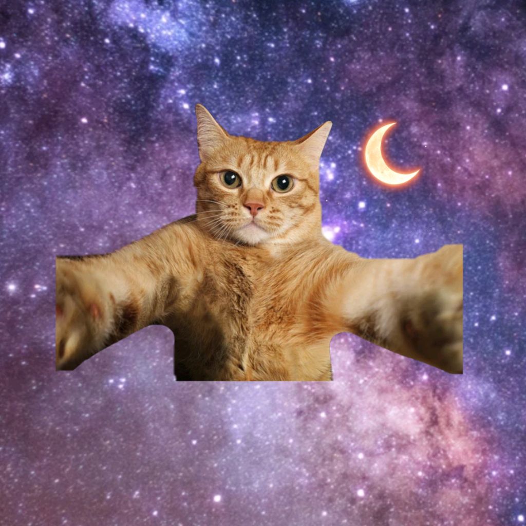 Иконка канала 😺Cosmo cat 😺